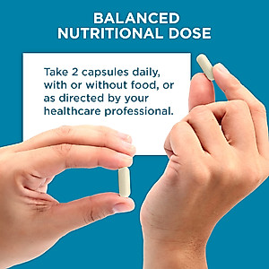 NAC Supplement (N-Acetyl Cysteine) - 1000 mg-Antioxidant Support - Promotes Liver Health and Detoxification - Boosts Lung and Immune Health - Vegetable Capsules - 120 Count - 60 Servings