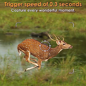 BLAZEVIDEO 2-Pack 48MP 1296P Game & Trail Cameras H.264 MP4 Video No Glow Wildlife Hunting Cams with Night Vision Motion IP66 Activated Waterproof for Outdoor Wildlife Hunting & Backyard Security