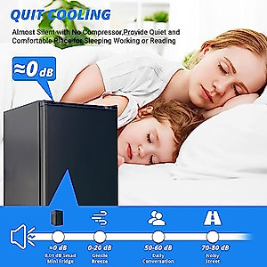 Smad No Noise 110V/12V Compact Refrigerator RV Truck Caravan Beverage Car Small Fridge with Lock, Reversible Door 1.7 Cu.Ft, Black