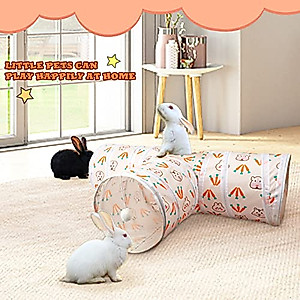 BWOGUE Bunny Tunnels & Tubes Collapsible Carrot Bunny Hideout Extra Large Small Animal Tunnel Toys for Dwarf Rabbits Bunny Guinea Pigs Kitty