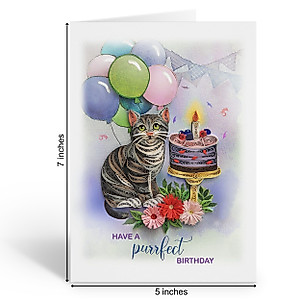TUMYBee - Have a Purrfect Birthday Cat Card, 5in x 7in, Blank Inside, Envelope Included
