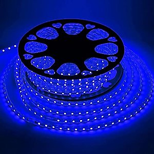 Buyagn Rope Lights Outdoor, 110v 100ft Flat LED Strip Lights Waterproof Kit for Indoor/Outdoor Decorations, Waterproof LED Lights for Outside, Backyards Garden, Christmas Decorations(Sapphire)