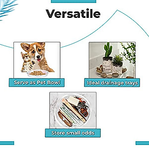 DripFlex 15 Pcs Clear Plant Saucers for Indoors (6,8,10) Inch + 1 Squeeze Succulent Watering Bottle(500ml), Plant Trays for Pots - Clear Round Sturdy Plastic Plant Trays for Indoors No Holes