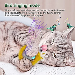 AUKL Interactive Cat Toys Ball with Super Driver, Motion Activate Electric Cat Toy Recommend on Wool Carpet (Robot)