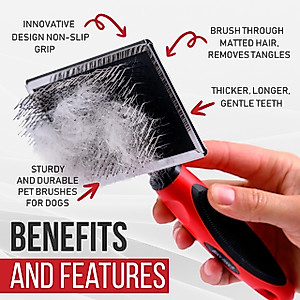 Bixy Pixy Slicker Brush for Dogs With Coated Tips - Extra Long Pins Removes Tangles - Doodle and Goldendoodle Brush Goes Deep Into Undercoat - Golden Retriever Brush for Shedding - Cepillo Para Perros