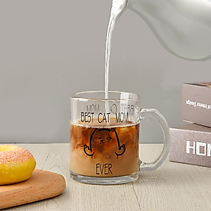 DAZLUTE Glass Coffee Mug, Best Cat Mom Ever Clear Coffee Mugs with Handle, Funny Mother’ s Day Birthday Christmas Gifts for Cat Lovers Mom Mother Women Her, 11Oz