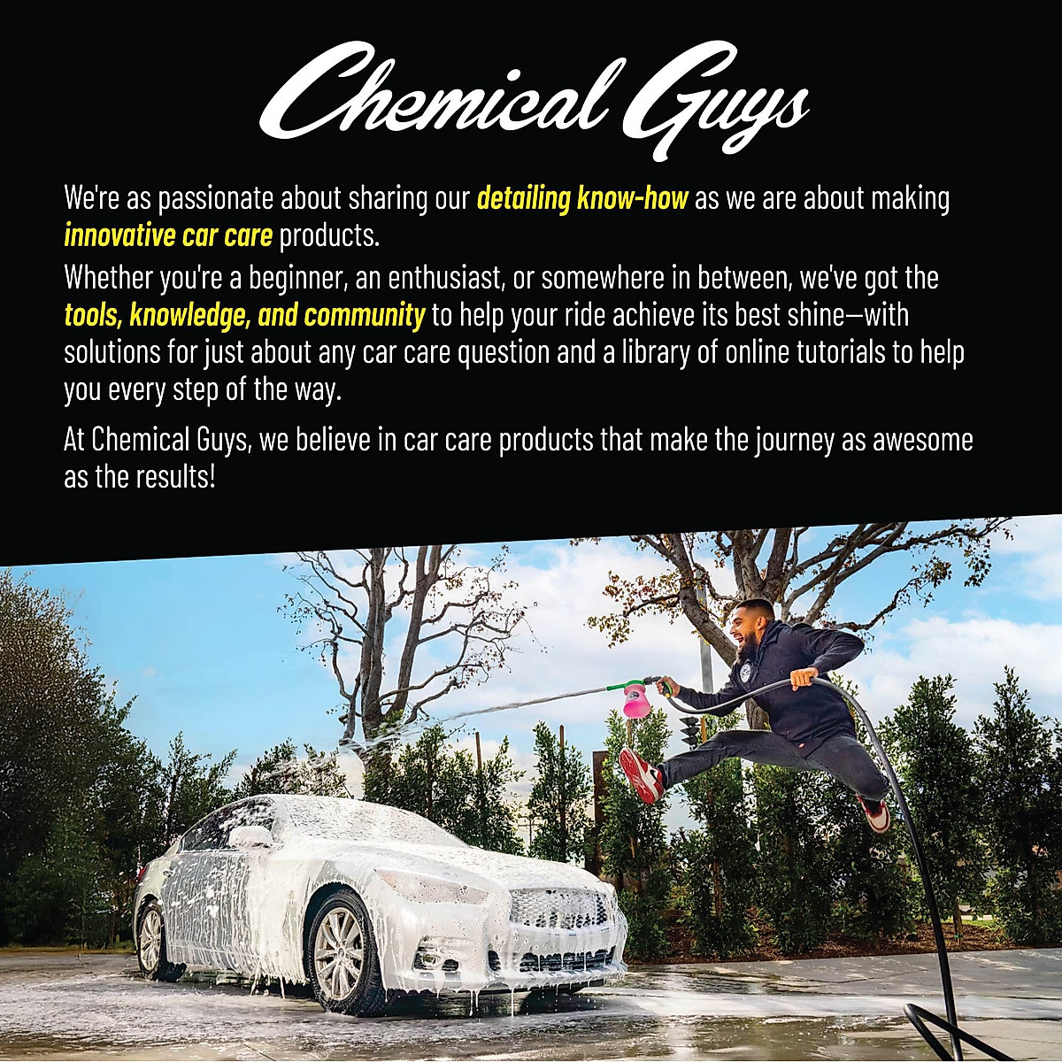 Chemical Guys CWS_104_16 Concentrated Bug and Tar Remover Car Wash Soap (Works with Foam Cannons, Foam Guns or Bucket Washes) Safe for Cars, Trucks, Motorcycles, RVs & More, 16 fl. Oz