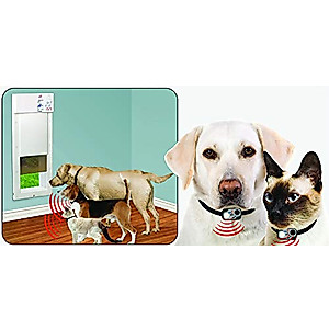 Power Pet Large Electronic Pet Door PX-2