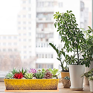 Succulent Pots - Large Succulent Planter Pots with Drainage, 12 Inch Long Rectangle Bonsai Pot with Bamboo Tray Shallow Ceramic Cactus Flower Planter Window Box for Home Garden Decor (Yellow)