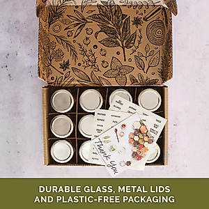 Gneiss Spice Magnetic Spice Jars | Create a Hanging Spice Rack on Your Fridge | Includes Large Empty Glass Jars, Magnetic Metal Lids and Spice Labels