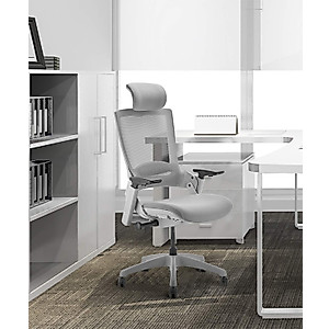 CLATINA Ergonomic High Swivel Executive Chair with Adjustable Height Head 3D Arm Rest Lumbar Support and Upholstered Back for Home Office Gray Mesh/High Back