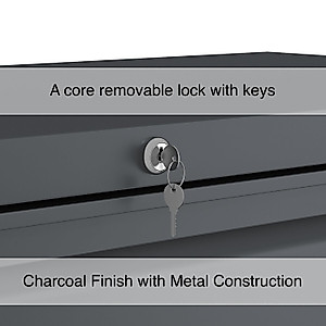 Lorell Fortress File Cabinet, 42 by 18-5/8 by 40-1/4-Inch, Charcoal