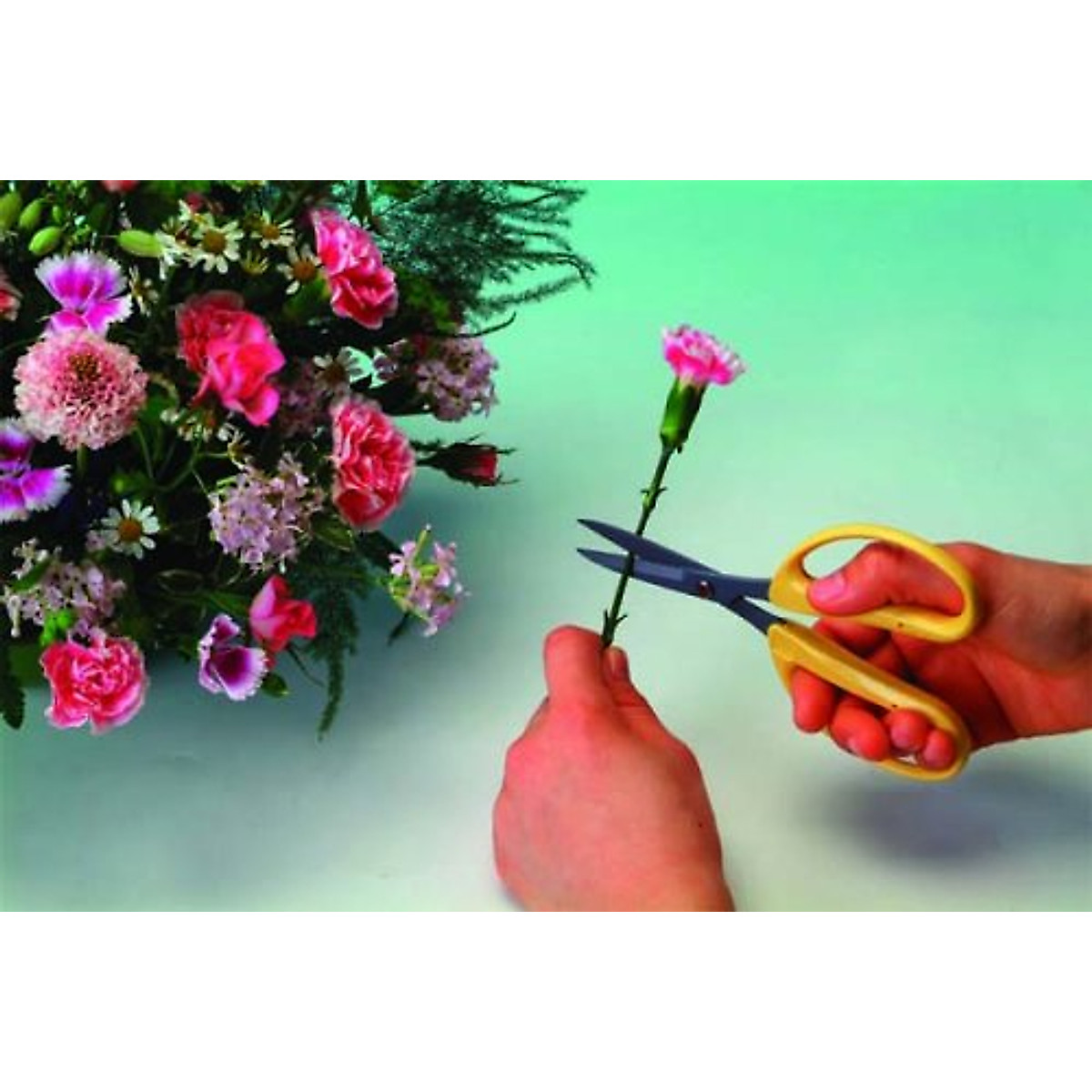 Bonsai Sissors Small 210mm