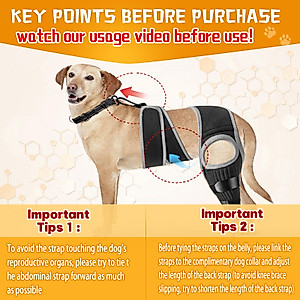 Dog ACL Knee Leg Brace, Dog Hip Brace for Front Torn and Back ACL Hind Rear Legs, Comfortable & Adjustable Tailwind Dog Hip Dysplasia Brace for Dog Arthritis, Luxating Patella with 10X Support (XL)