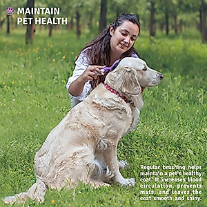 Round Bristle Pet Brush for Dogs and Cats - Gentle Grooming for Short or Long Hair - Soft Tool for Sensitive Skin Removes Dander, Dirt, and Detangles - Purple