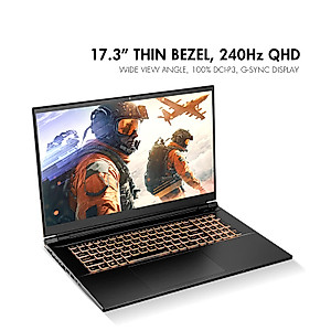 Sager 2023 NP8875D Gaming Laptop, 17.3 Inch QHD 240Hz 100% DCI-P3 G-Sync, Intel i9-13900HX, RTX 4060 8GB, 32GB RAM, 2TB Gen4 NVMe SSD, Win 11