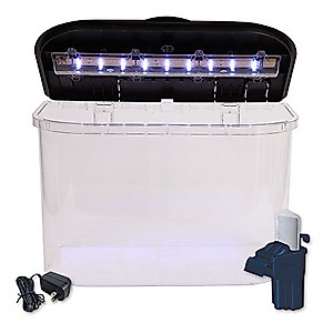 Koller Products 5-Gallon Aquarium Kit with LED Lighting and Power Filter, Ideal for a Variety of Tropical Fish