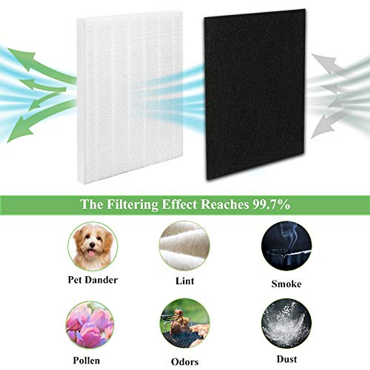 GuanQiao 1512hh Filter Compatible with Coway AP1512HH AP-1512HH, 3304899 AP1512HH AP1512, Include 2 HEPA Filters 8 Pre Filters