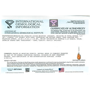 Ian and Valeri Co. Amber Sterling Silver Drop Pendant Necklace 18 Inches