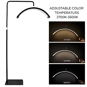 Amira Beauty LED Floor Lash Light Lamp Half Moon - Black Adjustable Rotating Sleek Modern Lighting for Estheticians Skincare Lashes Eyebrows Eyelash Extenstions Filming Content Nail Tattoo Artist
