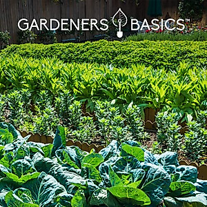 Survival Garden Heirloom Seeds, Victory Garden Seeds - 35 Varieties, 17,000+ Vegetable and Fruit Seeds for Planting Great Emergency Preparedness Items and Bugout Bag Supplies Gear by Gardeners Basics