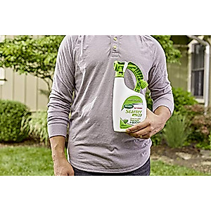 Scotts Turf Builder Starter Food for New Grass Ready-Spray, 32 oz.