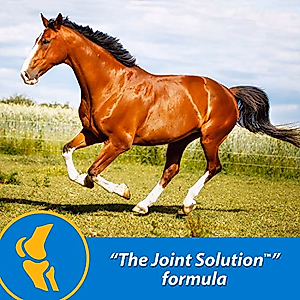 Farnam Fluidflex Liquid Joint Supplement for Horses, Helps Maintain Healthy Hip & Joint Function, 1 Gallon, 128 Ounces, 128 Day Supply