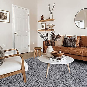 HOMORE Luxury Fluffy Area Rug for Bedroom Living Room Soft Carpets, Super Cute Comfortable Shag Rugs Modern Carpet for Kids Nursery Girls Home, 3x5 Feet Gray