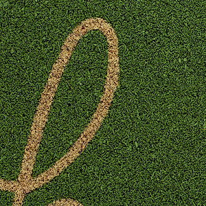 DII Hello Coir Fiber Doormat Non-Slip Durable Outdoor/Indoor, Pet Friendly, 18x30, Green Apple