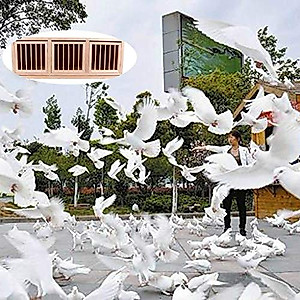 bird cage Pigeon Cage Combination Package Bird Cage Large Pigeon Nest Box Matching Cage Pigeon Pigeon Supplies Pigeon Cage Solid Wood Nest Box Outdoor Bird Nest ( Color : Brown-A , Size : 903035cm )