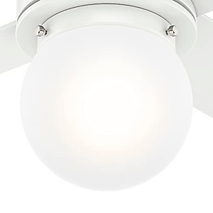 Hunter Fan Company 50275 Hepburn Ceiling Fan, 44, Matte White Finish