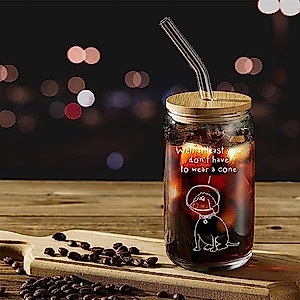 Break Up, Divorce Gifts For Women - Get Well Gifts For Women After Surgery, Feel Better Gifts - 16 Oz Coffee Iced Glass Cup With Bamboo Lid And Straws - At Least You Dont Have To Wear A Cone Can Glass