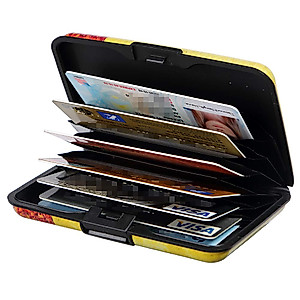 VICHLINE RFID Credit Card Holder Blocking Wallet for Women Men Mini Metal Slim Hard Aluminum Business Card Case (Watercolor Dragonfly)