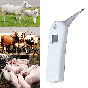 Ozeau Pet with Probe for Accurate Temperature Detection Suitable for Cats Dogs LCD Display for Dog