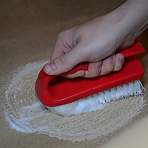 Detail King Automotive Carpet Shampoo & Car Upholstery Cleaner - Auto Detailing Carpet Cleaner For Car Interior - 16oz