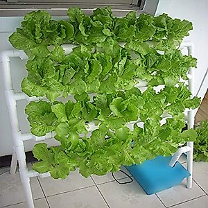 HYDDNice Hydroponic Grow Kit 4 Layers 36 Plant Sites Garden Planting System Hydroponic Growing System Water Culture Garden Plant System Garden Vegetable Planting Tool