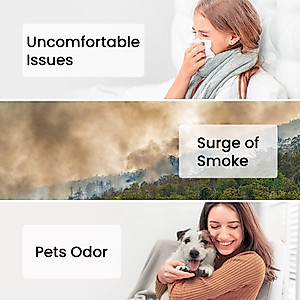smartmi Air Purifier Filter Replacement - H13 True HEPA Filter, Activated Carbon, Preliminary Filters and Inner Filter- Traps Odors, Smog, and Smoke at Home, Office