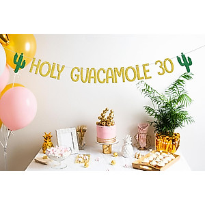 Holy Guacamole 30 Banner, Mexican Fiesta 30th Birthday Decorations, Taco Cactus Thirty Birthday Anniversary Cinco De Mayo Theme Party Supplies Gold Green