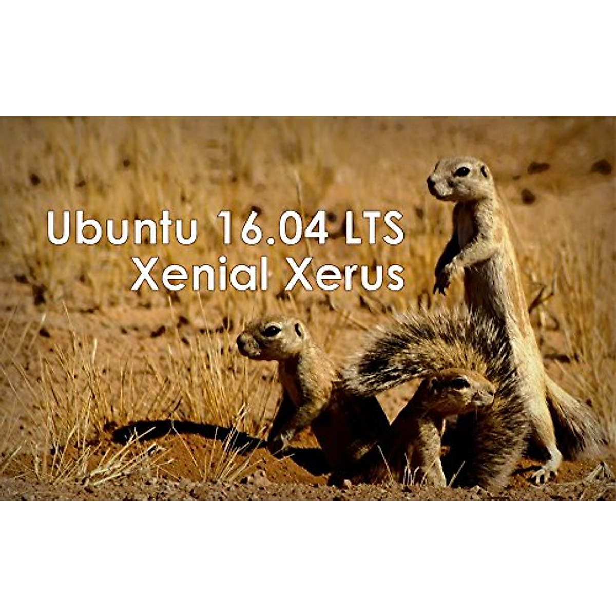 Learn How To Use Linux, Ubuntu Linux 16.04 Bootable 8GB USB Flash Drive - Includes Boot Repair and Install Guide