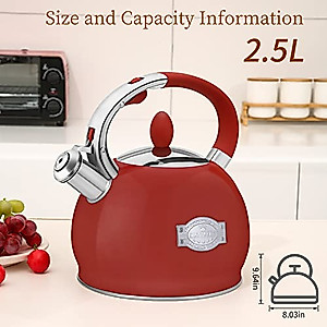 RETTBERG Tea Kettle for Stovetop Whistling Tea Kettles Retro Black Stainless Steel Teapots, 2.64 Quart (Red2)