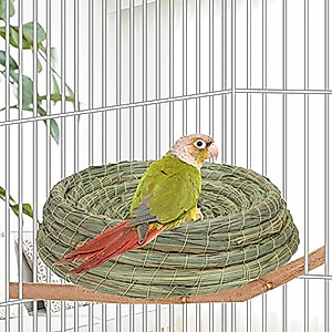 Handwoven Straw Hatching Breeding Cave Bird Nesting Box Flat Base Grass Nest for Parrot Macaw African Greys Budgies Hamster Gerbil Chinchillas Bed House (L)