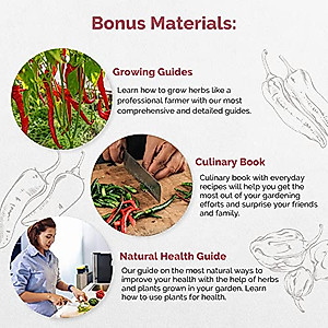 13 Rare Hot Chili Pepper Seeds Variety Pack for Planting Indoor & Outdoors. 650+ Non-GMO Bulk Pepper Garden Seeds Kit: Jalapeno, Cayenne, Serrano, Habanero, Pasilla Bajio, Santa Fe, Fresno & More