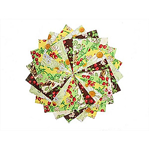 10 10 Inch Beautiful Prairie Fields Layer Cake Quilting Squares by Benartex & Wilmington 5 colorways