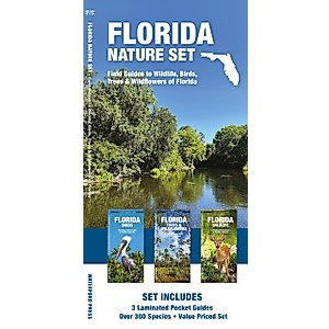 Florida Nature Set: Field Guides to Wildlife, Birds, Trees & Wildflowers of Florida (Nature Observation North America)