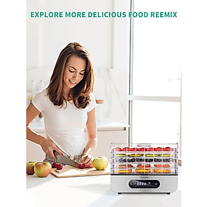 Reemix Food Dehydrator Machine, Compact Dehydrators for Food and Jerky, Fruits, Veggies, 500W Dehydrated Dryer with Temperature Control, 5 BPA-Free Trays Dishwasher Safe, Silver
