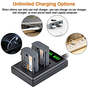 Pickle Power 2Pcs NB-2L NB-2LH Battery and LED Dua Charger for Digital Rebel XT XTi PowerShot G7 G9 S70 S80 S60 S50 S30 S40 S45 DC420 DC410 EOS 400D 350D VIXIA HF R10 Elura 40 50 60