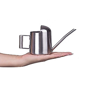 IMEEA Tiny Watering Can for Indoor Plants Bonsai Tree Stainless Steel Small Watering Can Succulents, 11oz/300ml