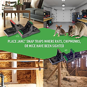 JT Eaton JAWZ Pro Series Snap Trap for Mice 2 pk