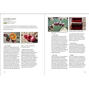 Southwest Foraging: 117 Wild and Flavorful Edibles from Barrel Cactus to Wild Oregano (Regional Foraging Series)