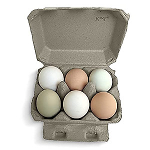 Half Dozen Egg Cartons- Henlay Blank Flat Top Six Pack (20)